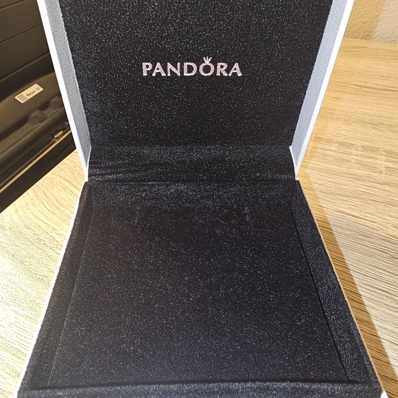 Storage & Organization | Pandora Large Bracelet Empty Box 1 | Poshmark
